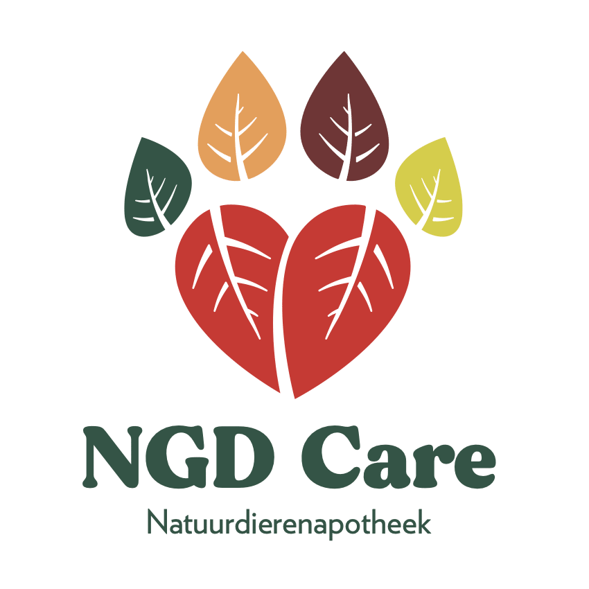 Short presentation introduction NGD care | NGD Care