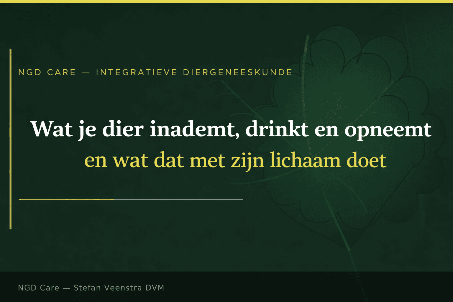 Wat je dier inademt en drinkt — en wat dat doet | NGD Care